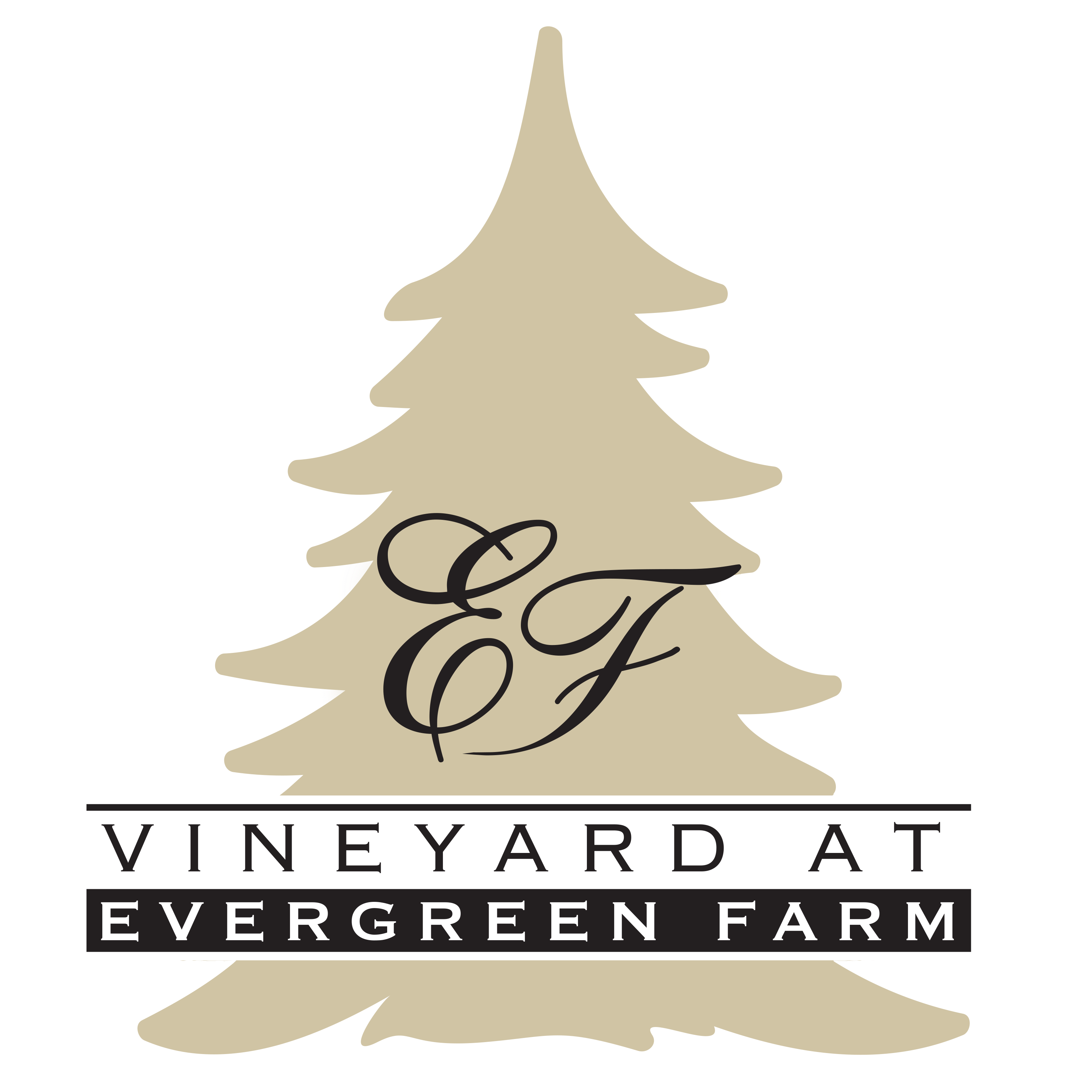 Vineyard at Evergreen Farm