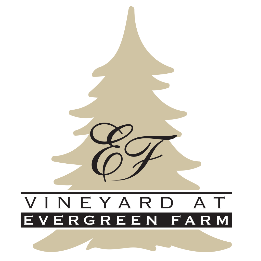 Vineyard at Evergreen Farm