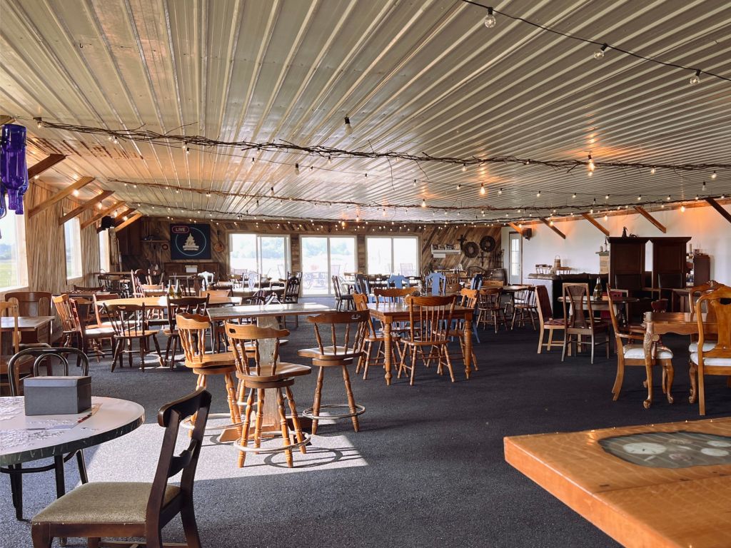 Vineyard at Evergreen Farm