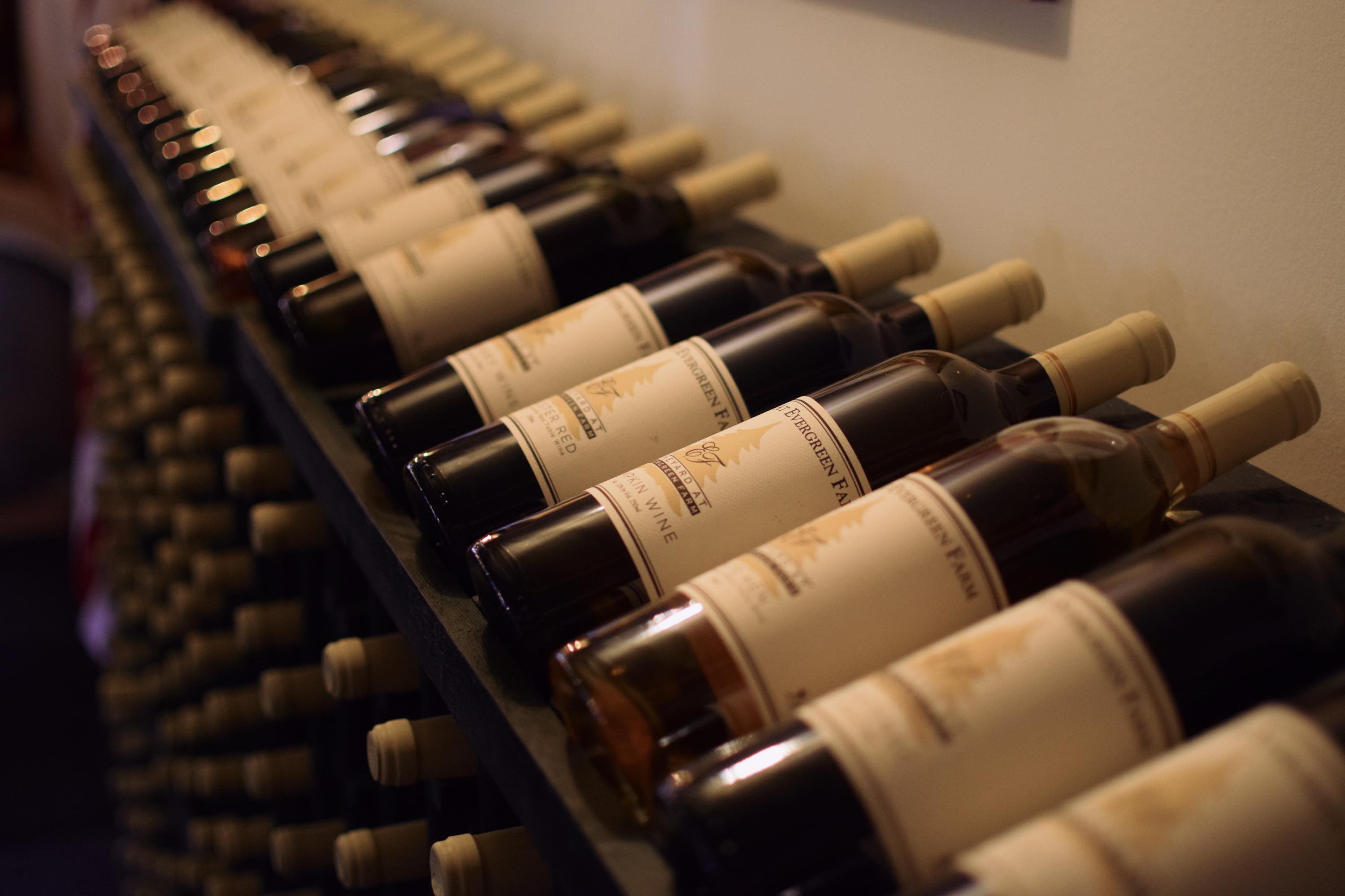 Vineyard at Evergreen Farm